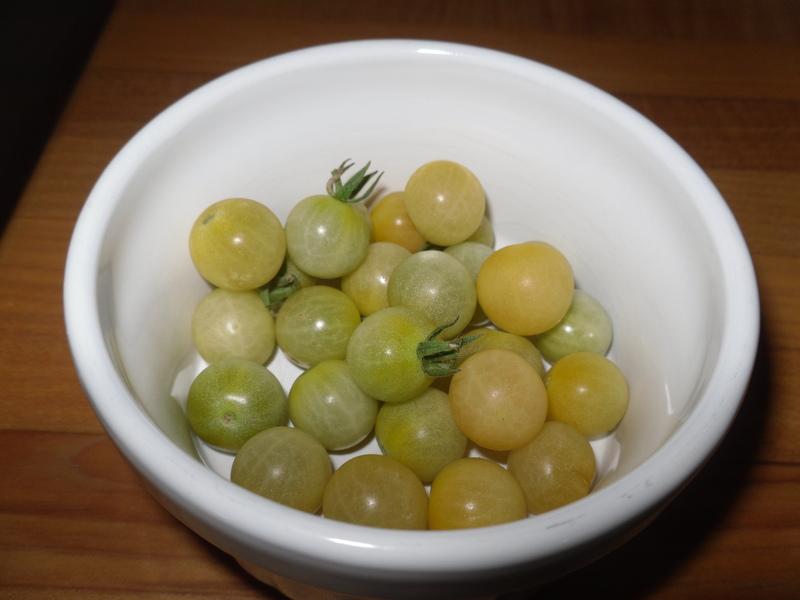 Currant Tomato (Solanum pimpinellifolium 'White Currant') in the ...