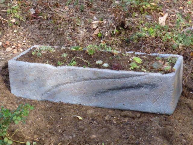 Styrofoam Troughs in the Containers forum - Garden.org
