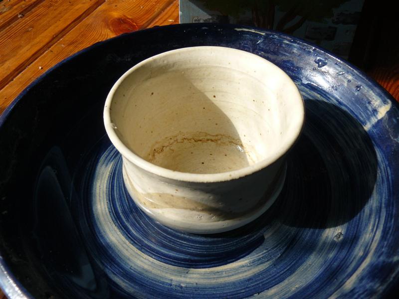 How To Create Humidity for Your Houseplants - Garden.org