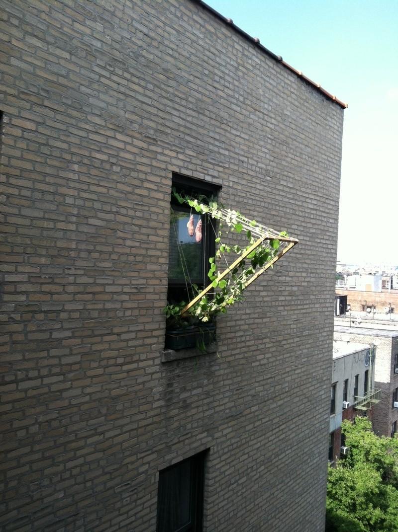 window trellis in the Garden Structures forum - Garden.org