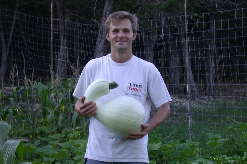 Cushaw Pumpkin (Cucurbita mixta 'Tennessee Sweet Potato') in the Gourds ...
