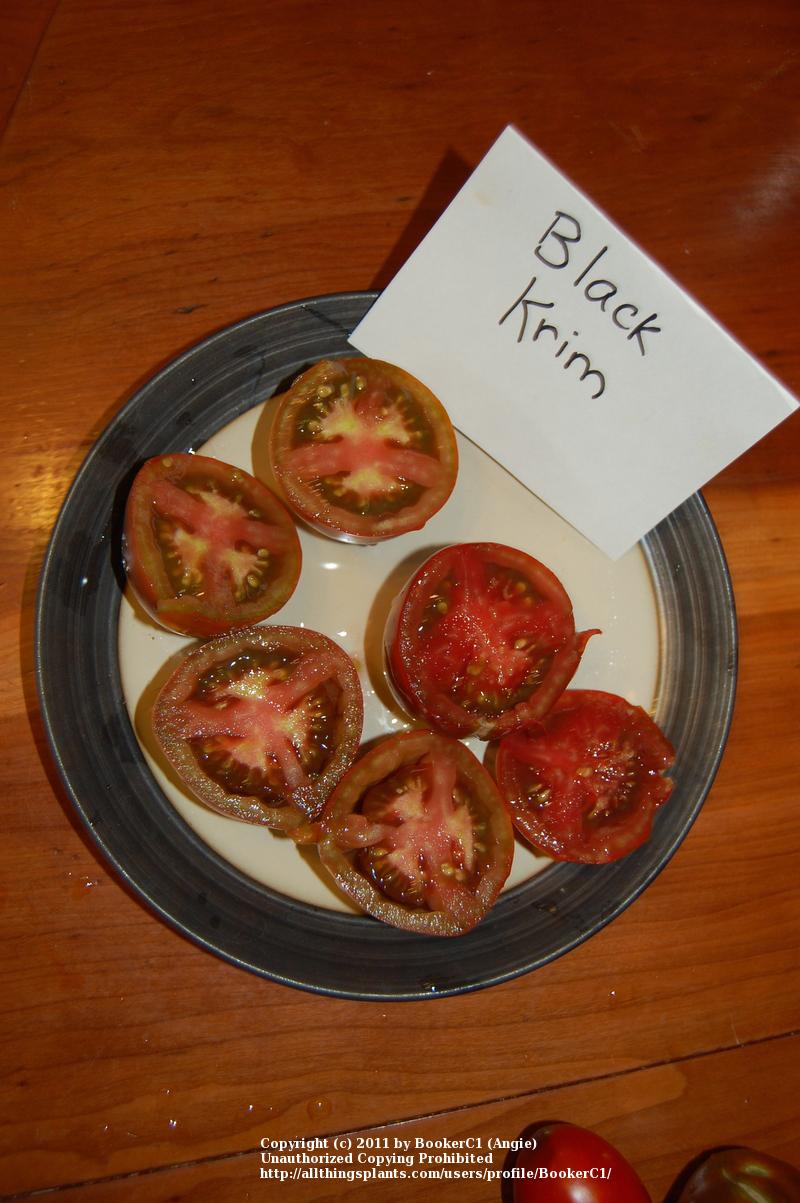 Photo of the fruit of Tomato (Solanum lycopersicum 'Black Krim') posted ...