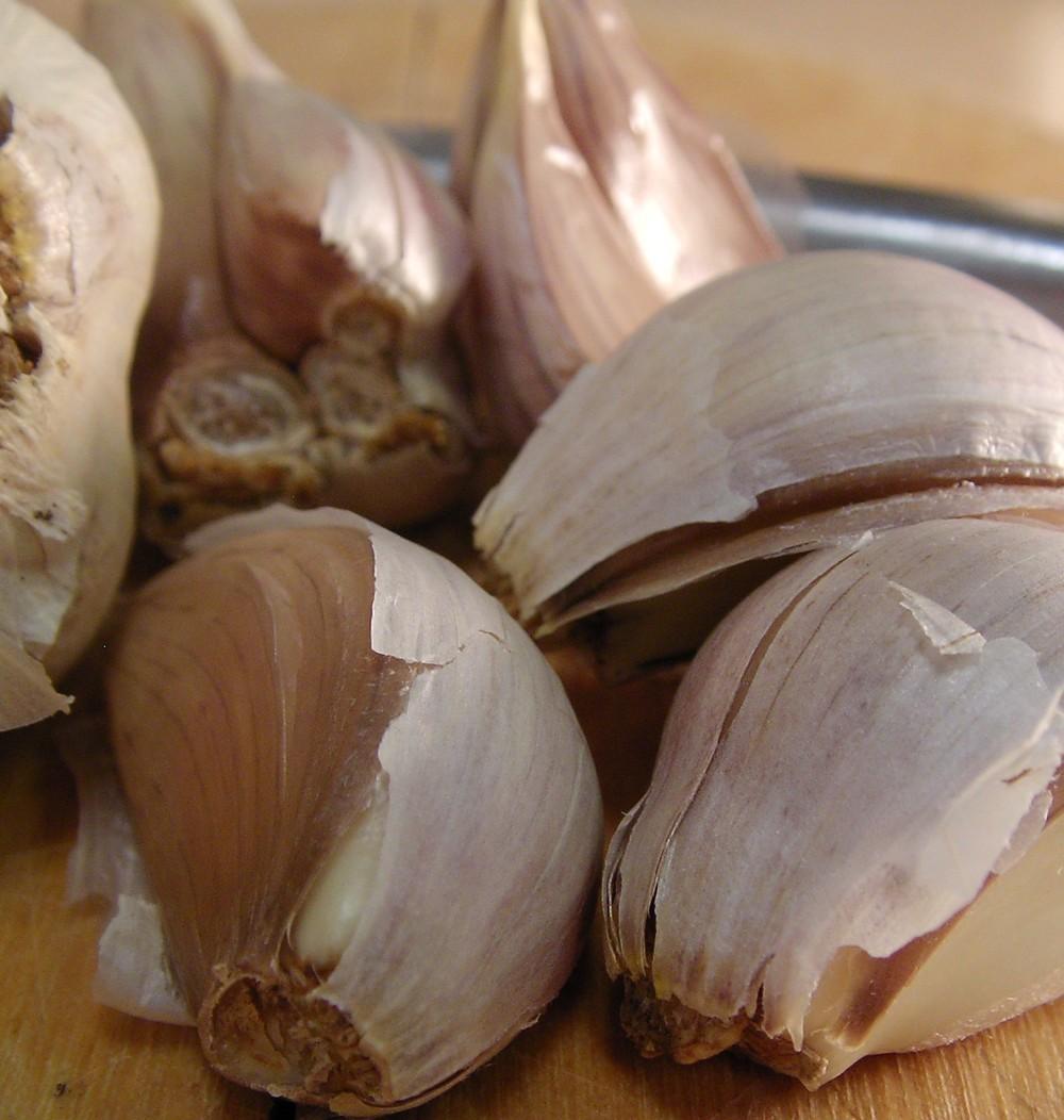 Growing and Making Your Own Spices - Garden.org