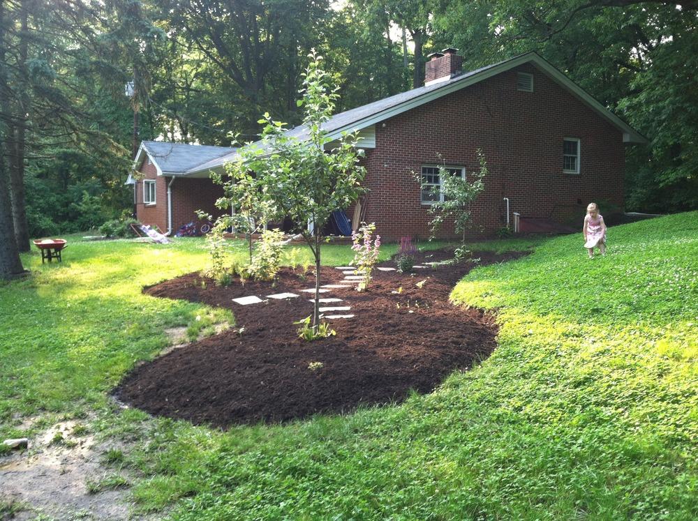 New Tree Guilds in the Permaculture forum - Garden.org