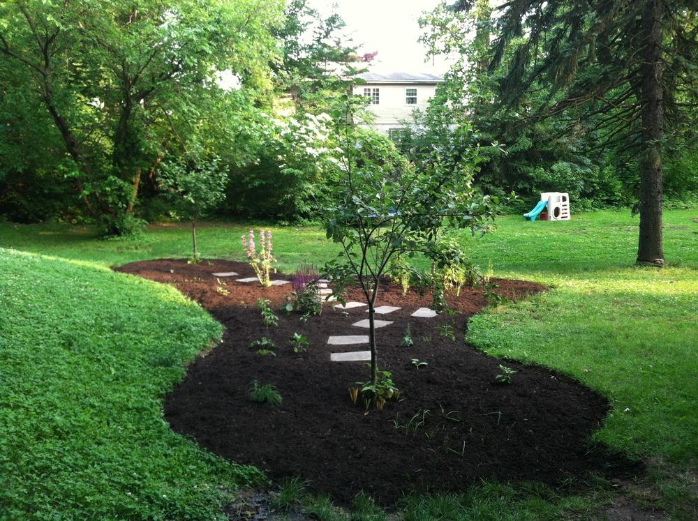 New Tree Guilds in the Permaculture forum - Garden.org
