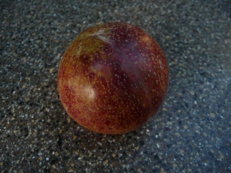 Photo of the fruit of Pluot (Prunus 'Dapple Dandy') posted by gardengus ...