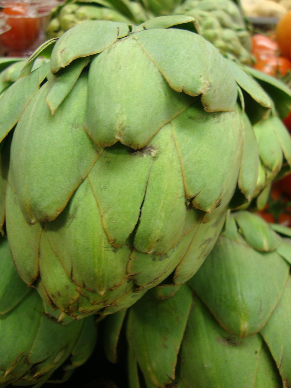 Artichokes: Plant Care and Collection of Varieties - Garden.org