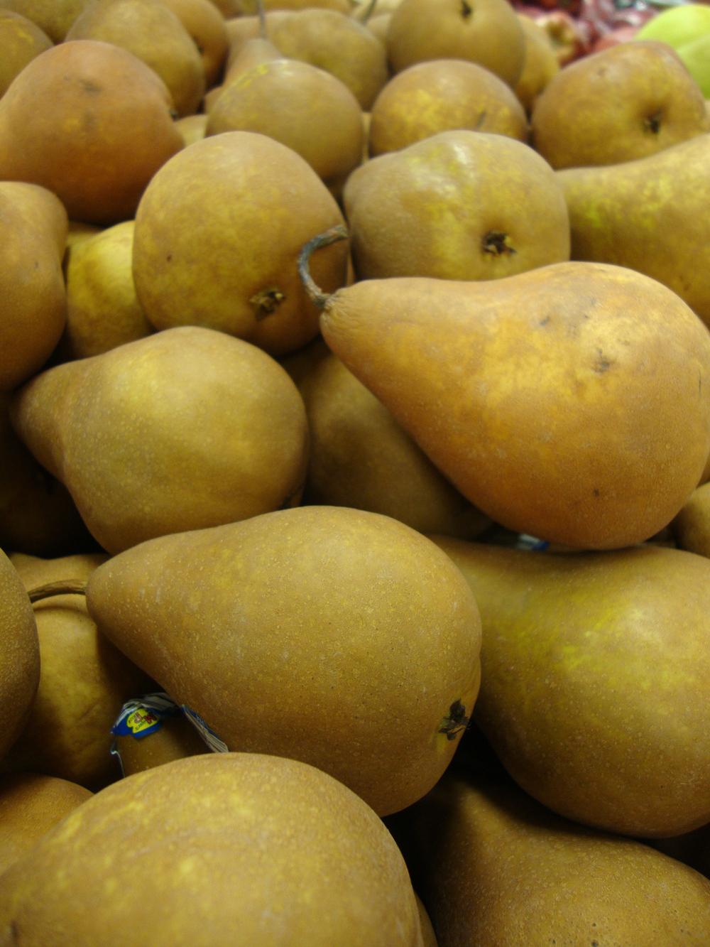 Photo of the fruit of Bosc Pear (Pyrus communis 'Beurre Bosc') posted ...