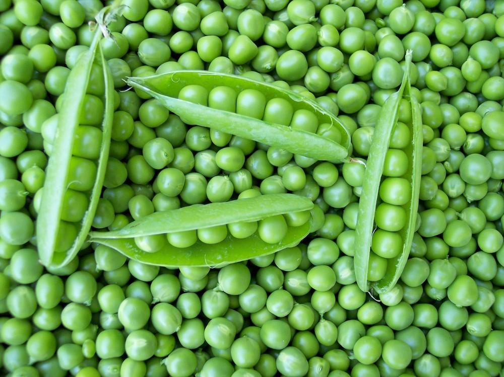 English Pea (Lathyrus oleraceus 'Strike') in the Peas Database - Garden.org