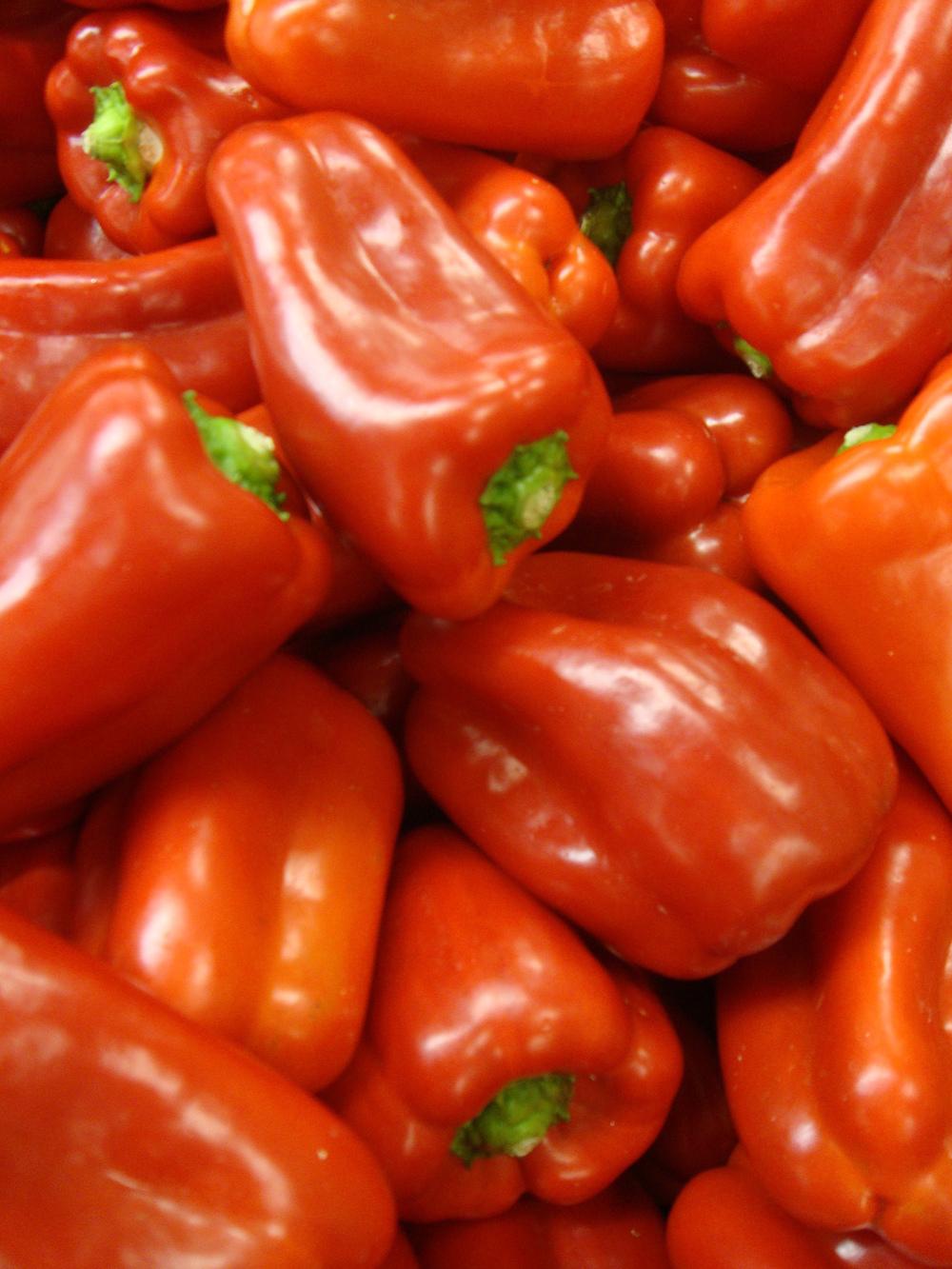 Photo of the fruit of Bell Pepper (Capsicum annuum 'Baron') posted by ...