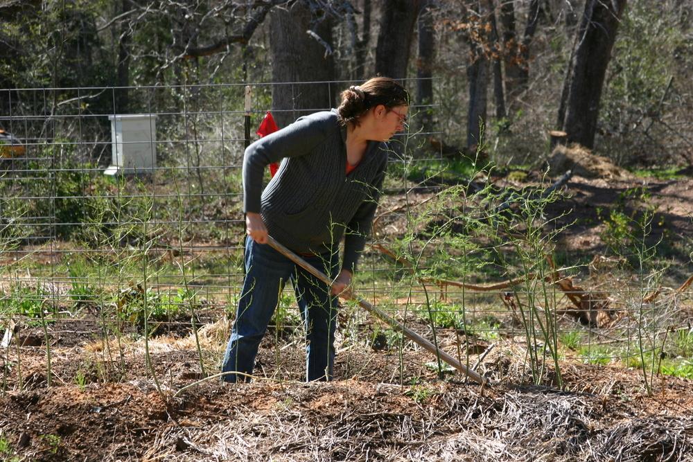 Trish's blog - Garden.org