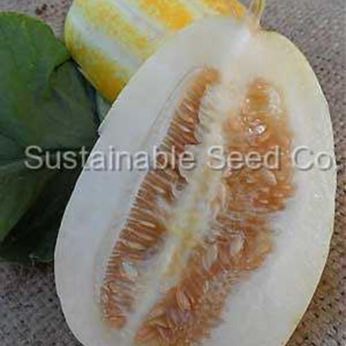 Crisp Melon (Cucumis melo 'Early Silver Line') in the Cantaloupes ...