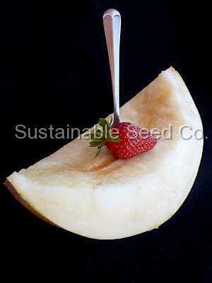 Honey Dew Melon (Cucumis melo var. inodorus 'Sharlyn') - Garden.org