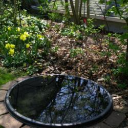 Paver Method for Sinking Small Round Preformed Ponds in Ground - Garden.org