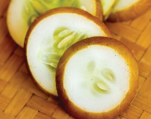 Cucumber (Cucumis 'Brown Russian') - Garden.org