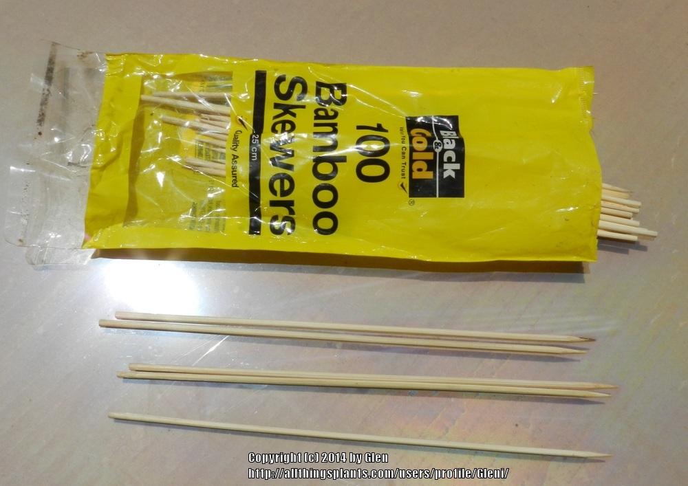 Yes! And... in Satay Sticks - Garden.org