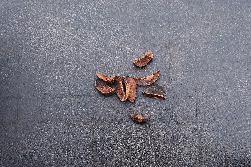 Photo of the seeds of Cola Nut (Cola acuminata) posted by admin ...