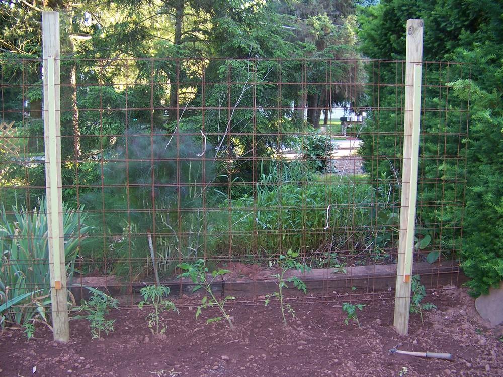 My hoop trellis project in the Garden Structures forum - Garden.org