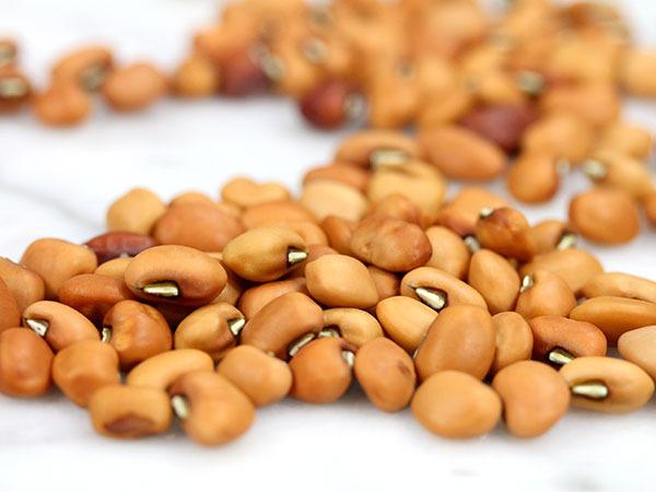 Cow Pea (Vigna unguiculata 'Monkey Tail') in the Southern Peas Database ...