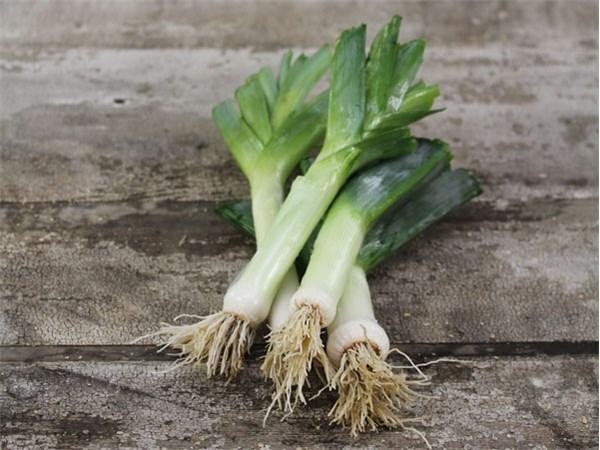 Leeks: Plant Care and Collection of Varieties - Garden.org