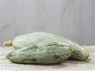 Winter Squash (Cucurbita maxima 'Sibley') in the Gourds, Squashes and ...