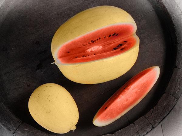 Watermelon (Citrullus lanatus 'Golden Midget') in the Watermelons ...