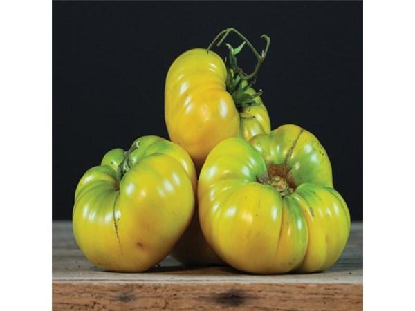 Tomato (Solanum lycopersicum 'Pilcer Vesy') in the Tomatoes Database - Garden.org
