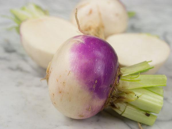 Turnips: Plant Care and Collection of Varieties - Garden.org