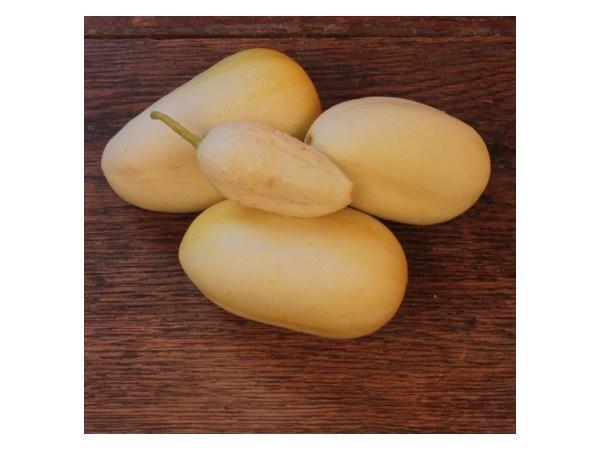 Cucumber (Cucumis sativus 'Ruby Wallace's Old Time White') in the ...