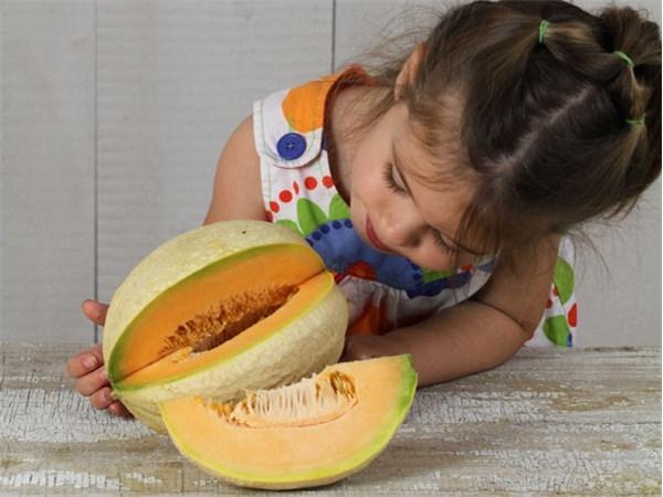 Photo of the fruit of Melon (Cucumis melo 'Missouri Gold') posted by ...
