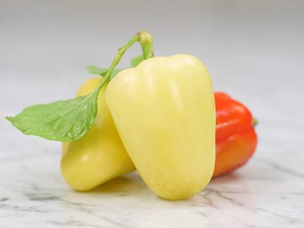Sweet Pepper (Capsicum annuum 'White Lakes') in the Peppers Database ...