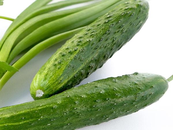 Cucumber (Cucumis sativus 'De Bourbonne') in the Cucumbers Database ...