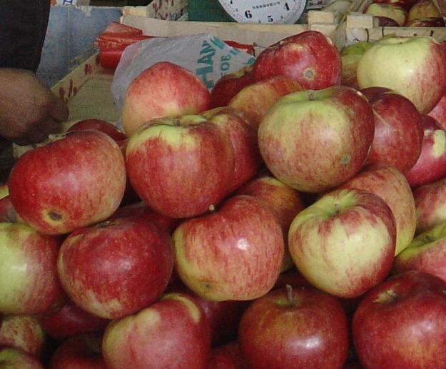 Apple (Malus domestica 'Aport') in the Apples Database - Garden.org