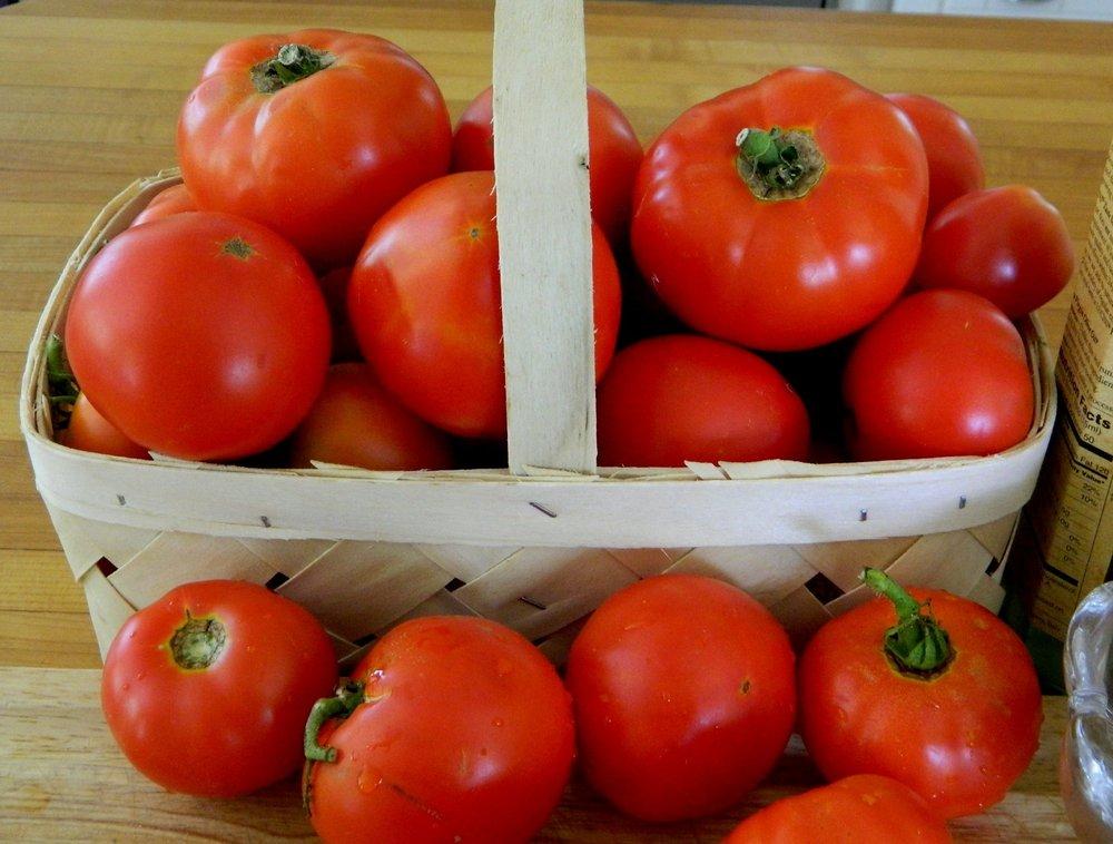 Tomato (Solanum lycopersicum 'Carnival') in the Tomatoes Database ...