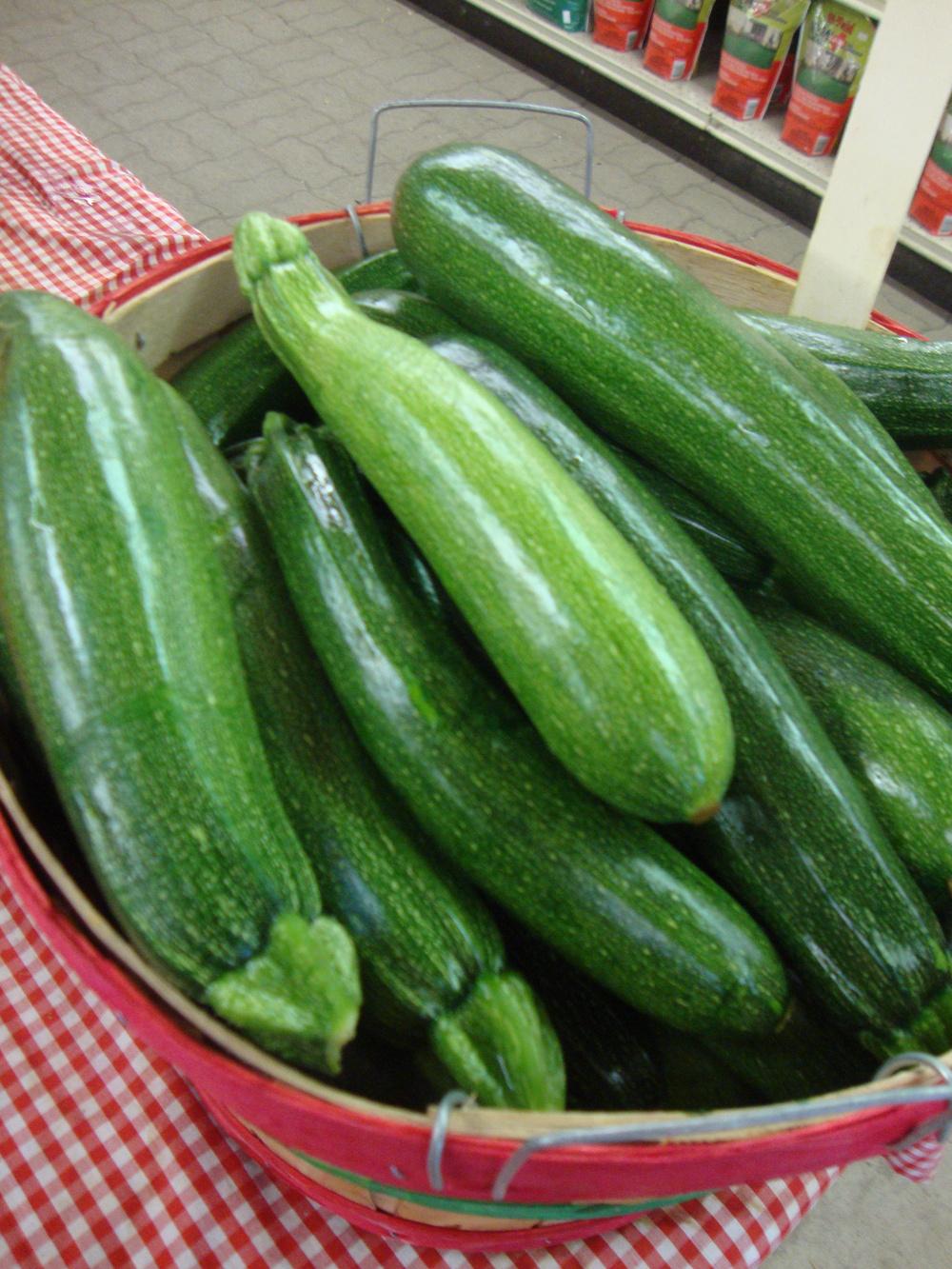 Photo of the fruit of Zucchini (Cucurbita pepo 'Dark Green Zucchini ...