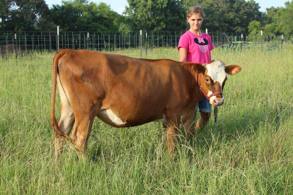 Favorite farm animals in the Farming forum - Garden.org