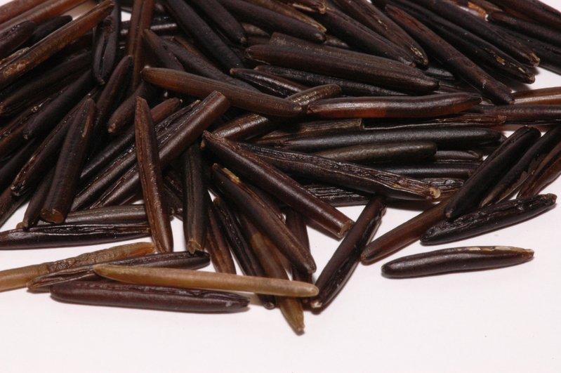 Wild Rice (Zizania palustris) - Garden.org