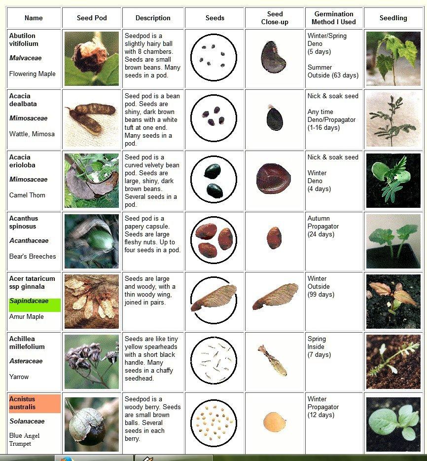 Awesome Seed Site in the Seeds forum - Garden.org
