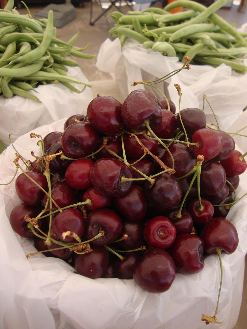Sweet Cherry (Prunus avium 'Lambert') in the Sweet Cherries Database ...