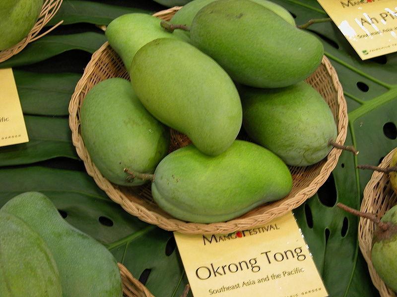 Photo of the fruit of Mango (Mangifera indica 'Okrung Tong') posted by ...