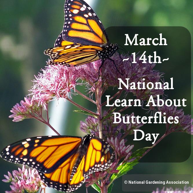 884 plants added to personal inventory lists.