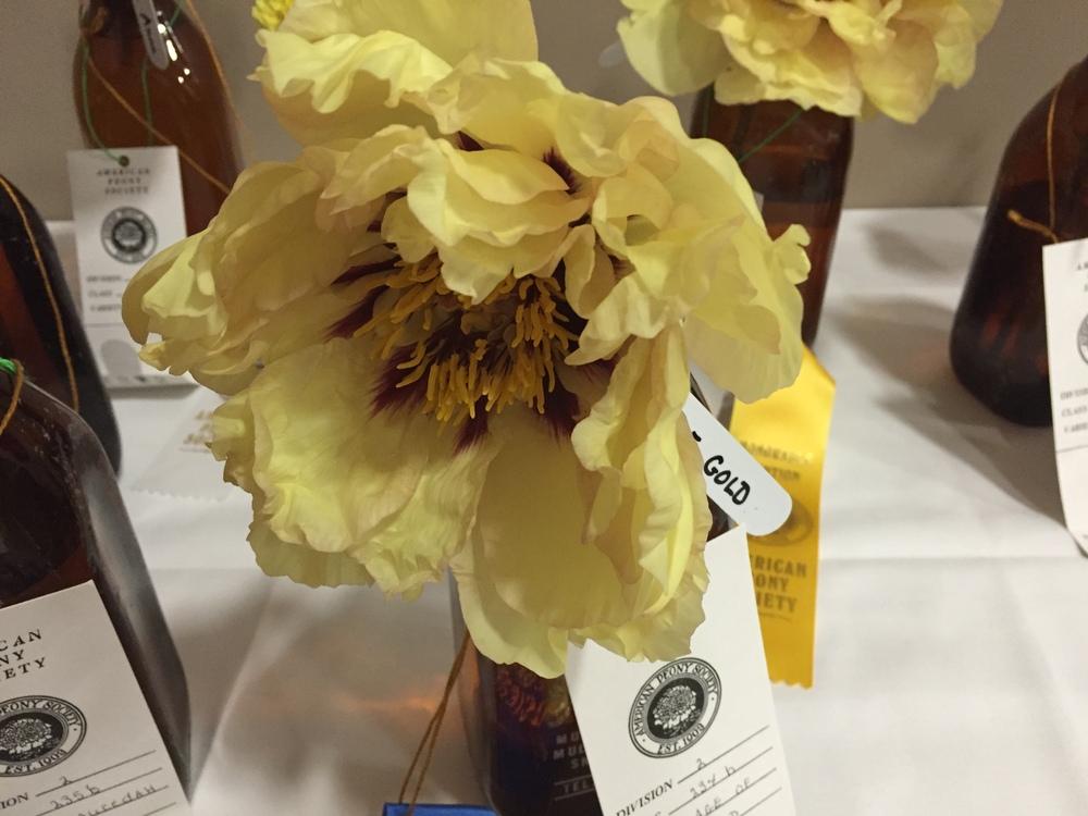 Viewing post #1332066 by LizinElizabeth - Garden.org