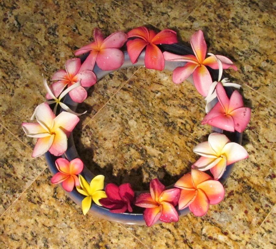 cut terminal Thyrsiform inflourescences (the stem of the flower) after ...