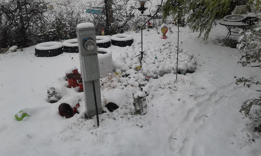 April 1st or April fools? in the Winter Sowing forum - Garden.org