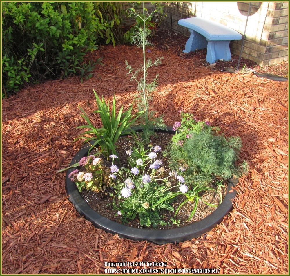 Repurposing a Prefabricated Pond - Garden.org