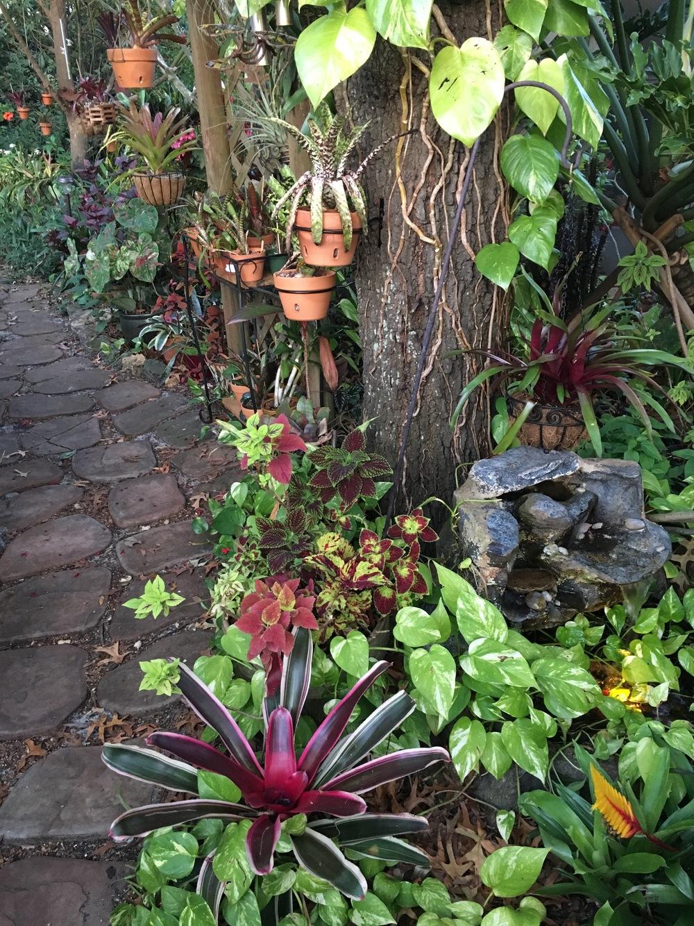 Viewing a Plant Combination by sunkissed - Garden.org