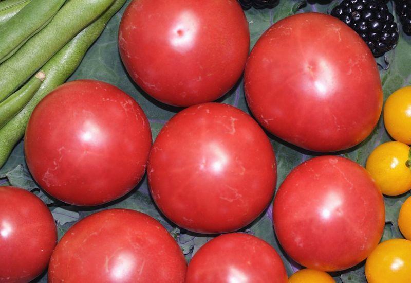 Tomato (Solanum lycopersicum 'Pink Ping Pong') in the Tomatoes Database ...