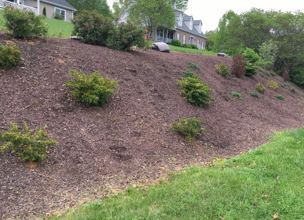 STEEP BANK problems in the Ask a Question forum - Garden.org