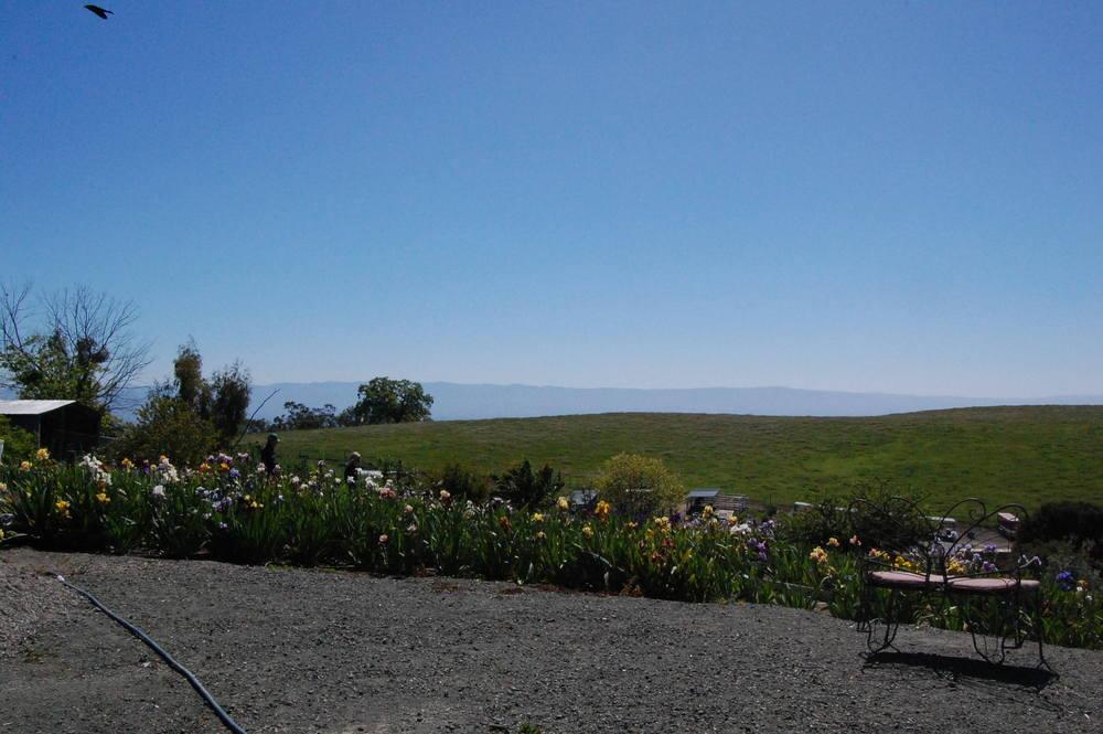 Sunday trip to Nola's Iris Garden in the Irises forum - Garden.org