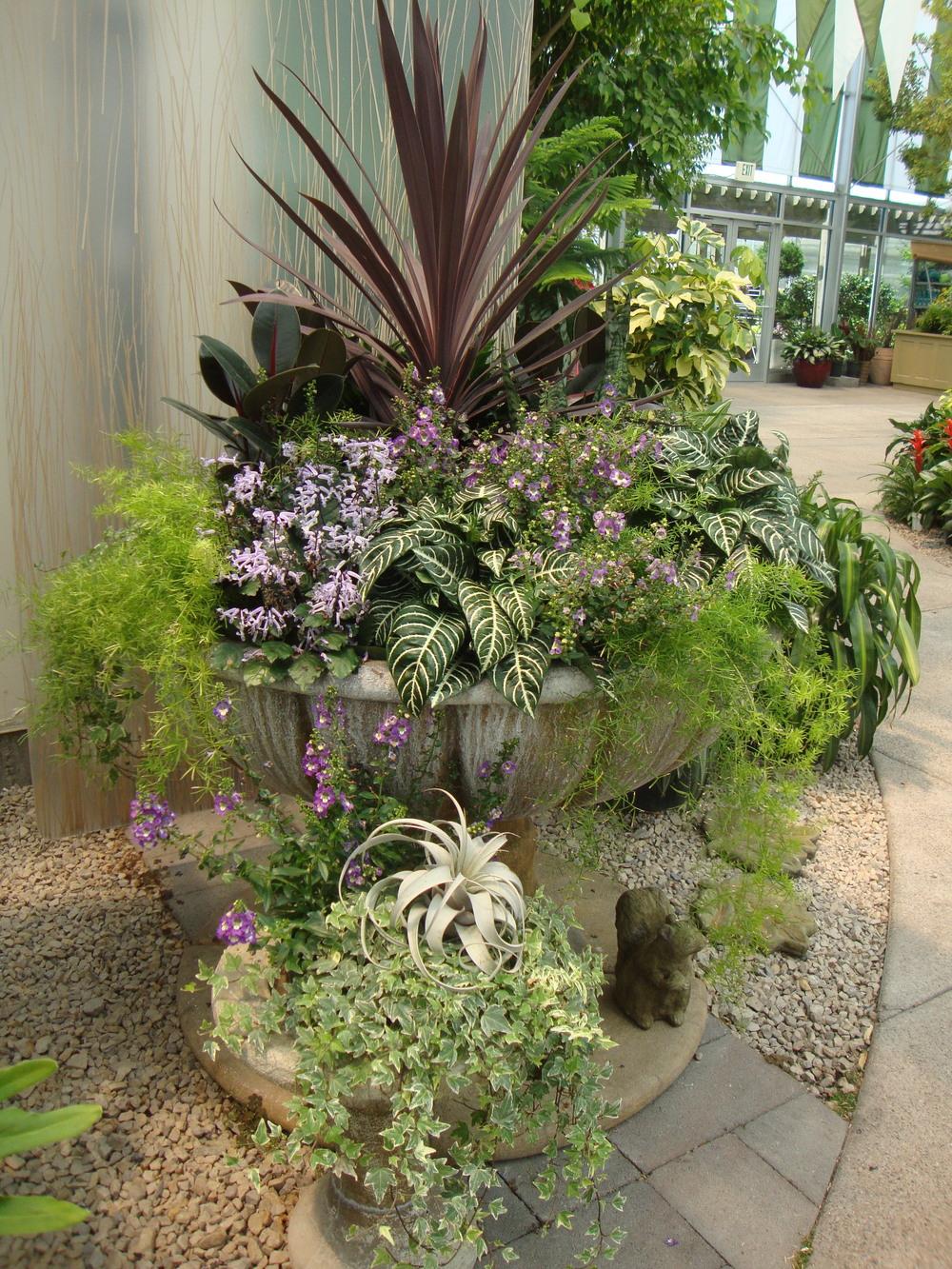 Viewing a Plant Combination by Paul2032 - Garden.org